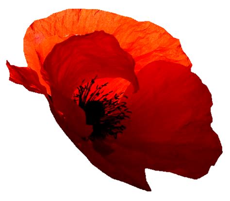 Lara Kohn Thompson Christine Bastin