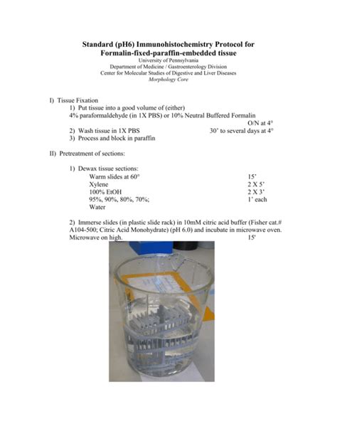 Generic Immunohistochemistry Protocol