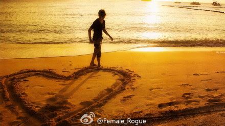 求婚大作战金色的阳光照亮的海水 金色 高清图片堆糖美图壁纸兴趣社区