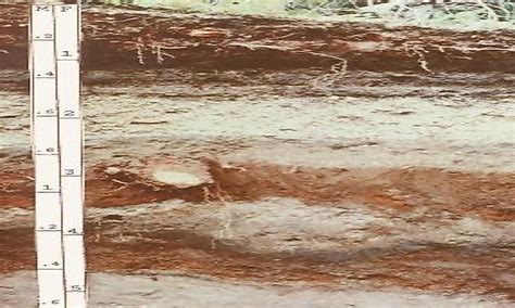 Usda Soil Taxonomy Soil Orders And Their Major Characteristics