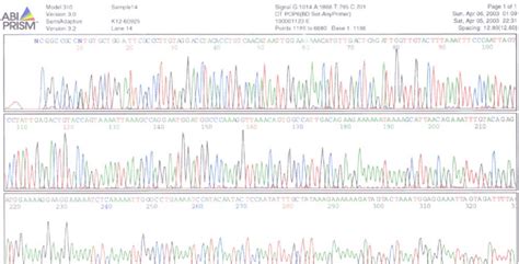 A Example Of Electropherogram From Sequencing Download Scientific Diagram