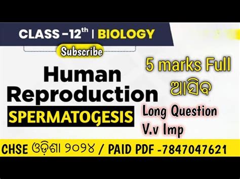 CLASS TH CHSE BOARD ODISHA SPERMATOGESIS LONG QUESTION AND ANSWER CHSE EXAM ODISHA