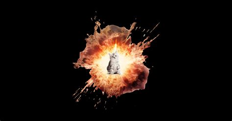 Cat Exploding Meme Cat Meme Sticker Teepublic