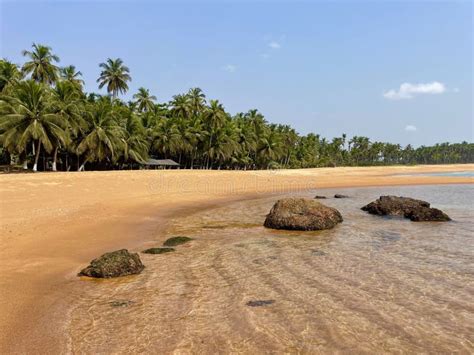 Grand Bereby Beach Ivory Coast Africa Stock Image Image Of Beereby
