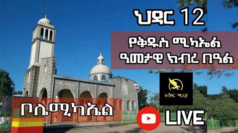የቅዱስ ሚካኤል የንግስ በዓል በቦሌ ሚካኤል Youtube