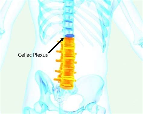 Celiac Plexus Block Ainsworth Institute