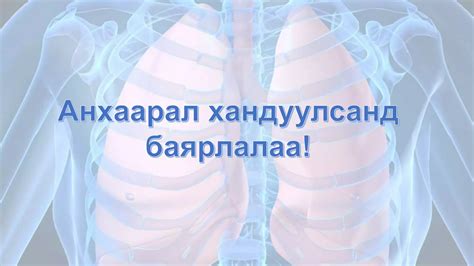 Амьсгалын эрхтэн тогтолцооны физиологи Pptx