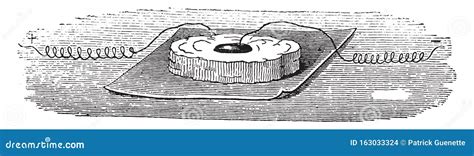 Decomposition Reaction Infographic Diagram Cartoon Vector