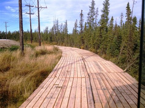 Emergency Access Strad Inc