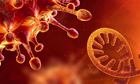 Sars Cov 2 Rna Analysis Reveals Potential Treatment Targets