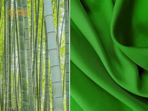 Bamboo Into Fabric Unveiling The Transformation Process