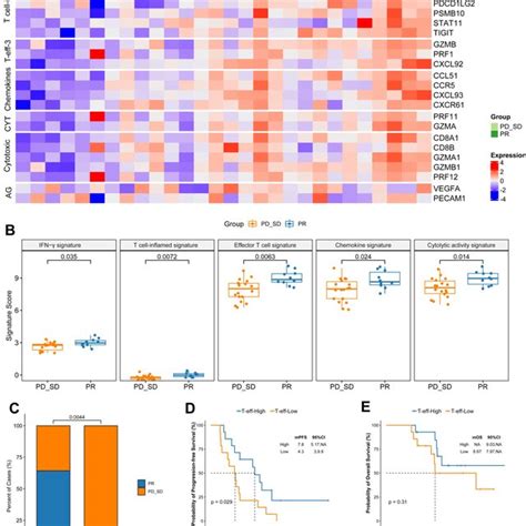 Additional Immune Signatures Analysis In Predicting Tumor Response A Download Scientific