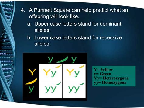 Chapter 5 Section 1 Notes Ppt