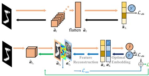 [논문 리뷰] Hierarchical Feature Level Reverse Propagation For Post Training Neural Networks