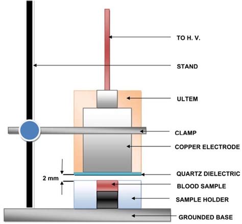 Schematic Of The Experimental Setup Showing The High Voltage Electrode Download Scientific