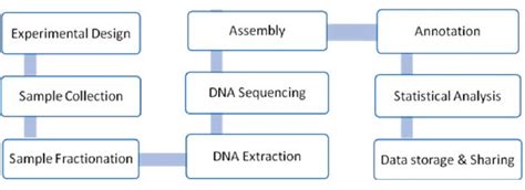 Workflow Diagram Of A Typical Metagenomic Project According To Thomas Download Scientific