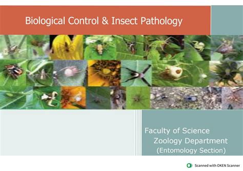 Solution Biological Control And Insect Pathology Part 1 Studypool