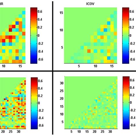 Maps Of The Mean Across Subjects Fullpartial Correlation