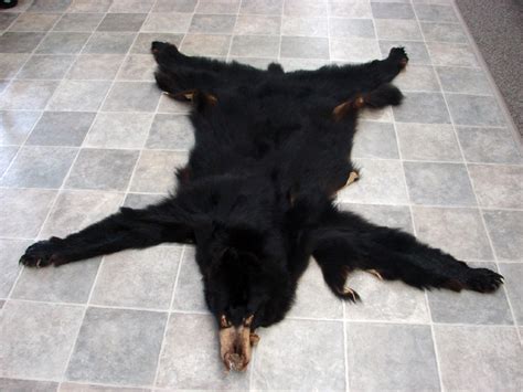 Fur Bear Pelt Prices