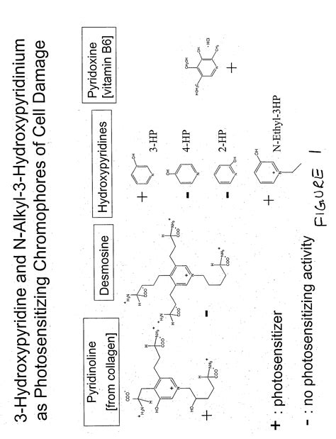 Methods For Modulating Phototoxicity Eureka Patsnap
