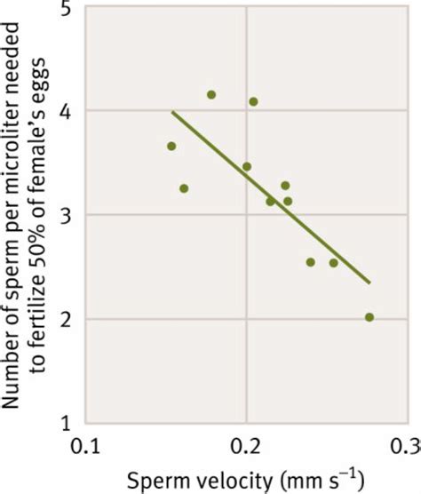 Sperm Speed Html 7 22 Sperm Velocity Fertilization