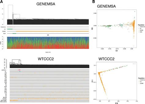Hierarchical Clustering And Multi Dimensional Scaling Of Individuals