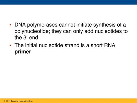The Molecular Basis Of Inheritance Ppt Download