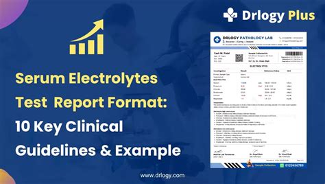 10 Key Clinical Guidelines For Serum Electrolytes Test Report Format