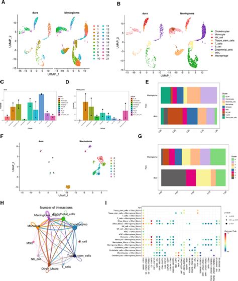 Single‐cell Analysis Reveals Cell Type Composition And Macrophage