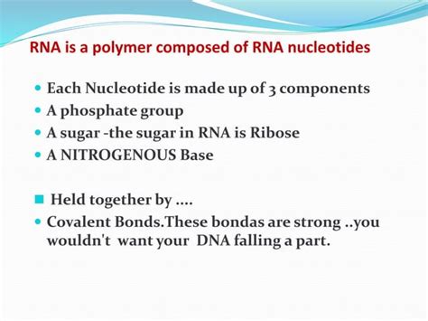 Various Types Rna Pptx