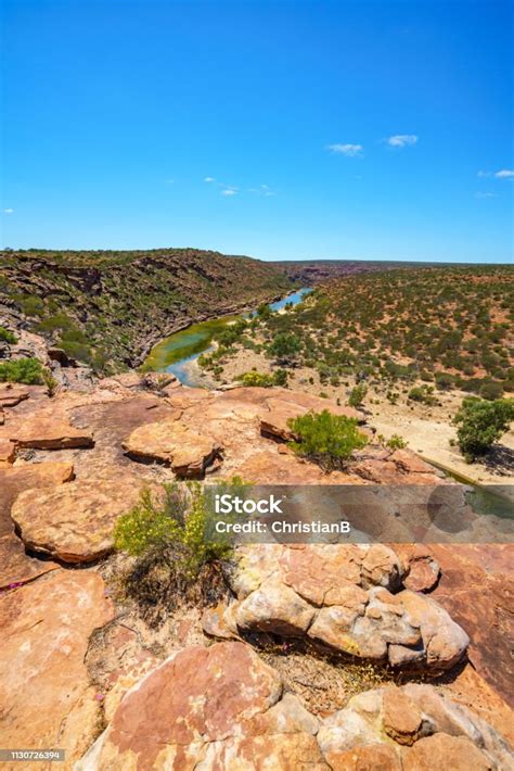 하이킹 본성 윈도우 루프 트레일 칼 바리 국립 공원 서 호주 116 0명에 대한 스톡 사진 및 기타 이미지 0명 강 경관 Istock