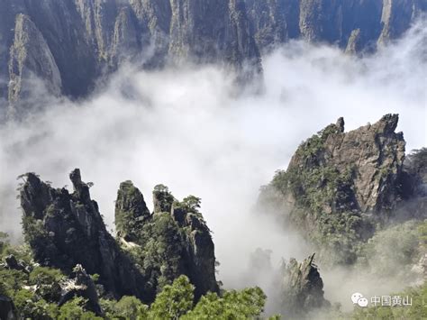 春游江淮请您来 雨后初晴 写意黄山青山