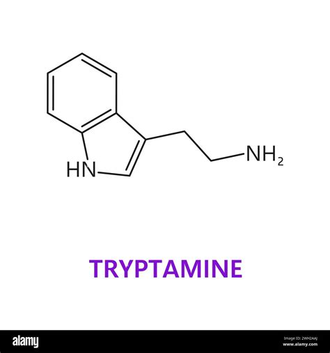 Neurotransmitter Tryptamine Chemical Formula And Molecule Structure Vector Icon Metabolite