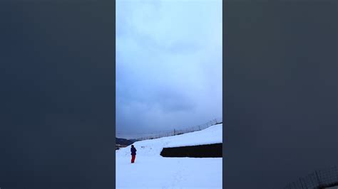 粉雪舞う朝邑南町まるで水墨画のような世界 邑南町 雪景色 田舎暮らし WACOCA TOURS
