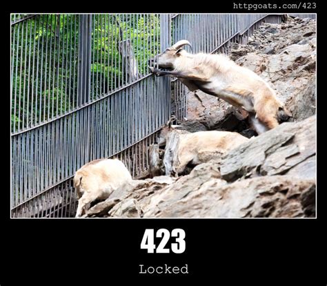 423 Locked Status Code And Cats