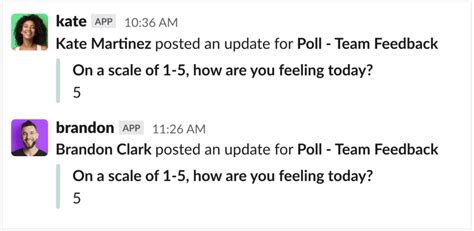 6 Best Apps For Running Anonymous Polls In Slack In Depth Look
