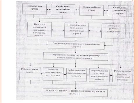 Теоретичні основи здорового способу життя презентация онлайн