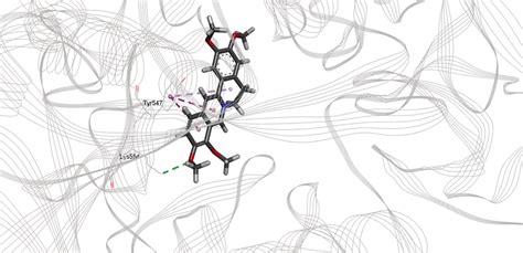 Docking Interaction And Binding Mode Of Palmatine And Dpp Iv Enzyme