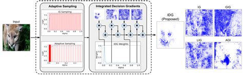 Left An Overview Of The Adaptive Sampling Algorithm And The Idg Download Scientific Diagram