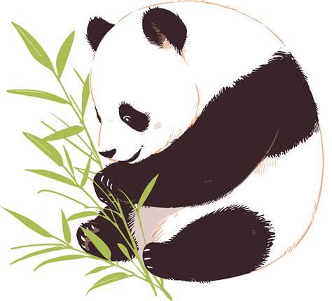 大熊猫高清素材