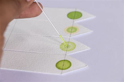 Photo Libre De Droit De Létude De La Chromatographie Est Utilisée Pour