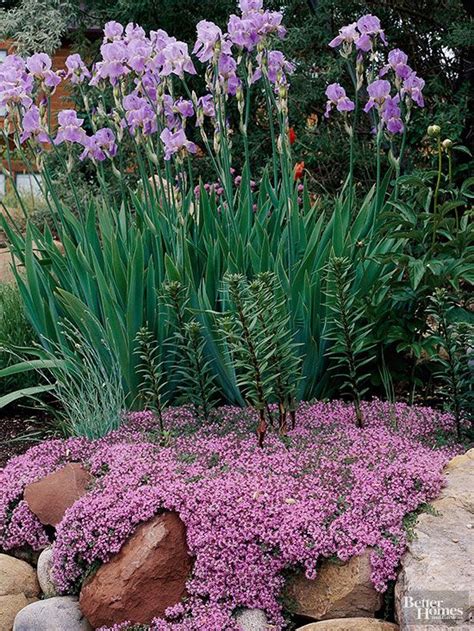304 Best Rock Gardens And Ground Covers Images On Pinterest Landscaping