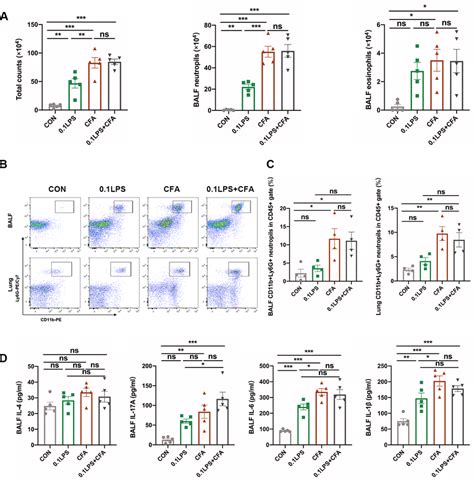 Significant Neutrophilic Inflammation And Secretion Of Proinflammatory