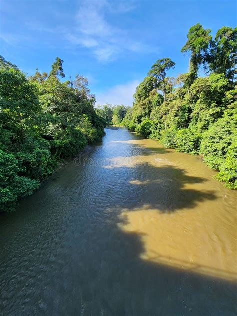 Danum River View Surrounded By Tropical Jungle In Lahad Datu Stock