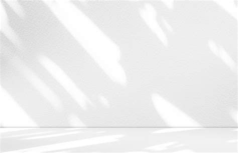 그림자 스튜디오 배경 흰색 회색 추상 조명 오버레이 잎 벽 테이블 제품 연단 최소 배경 흐림에 태양 나무 식물 Follage