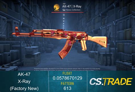 Ak 47 X Ray ⭐️ Cs2 Skin