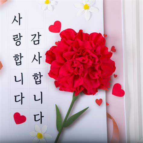 파티·이벤트용품 어버이날스승의날부모님생신칠순팔순현수막입체꽃포토월대형카네이션 가정의달포토존장식행사 오늘의집 쇼핑