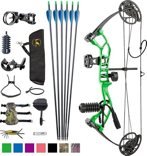 Compound Bow And Arrow Set