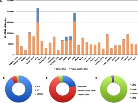 Rediportal A Comprehensive Database Of A To I Rna Editing Events In Humans Pmc