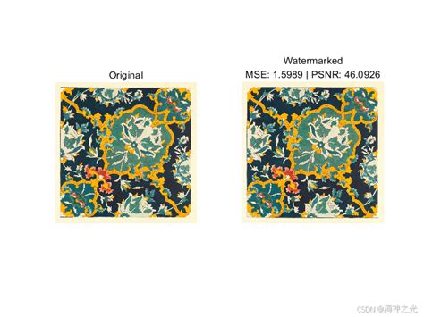 【图像隐写】基于matlab多级小波变换dwt图像隐写（含psnr Mse）【含matlab源码 14058期】含报告 Csdn博客
